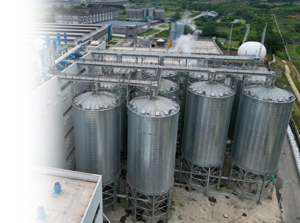 CLPT China - CLPT | CLPT